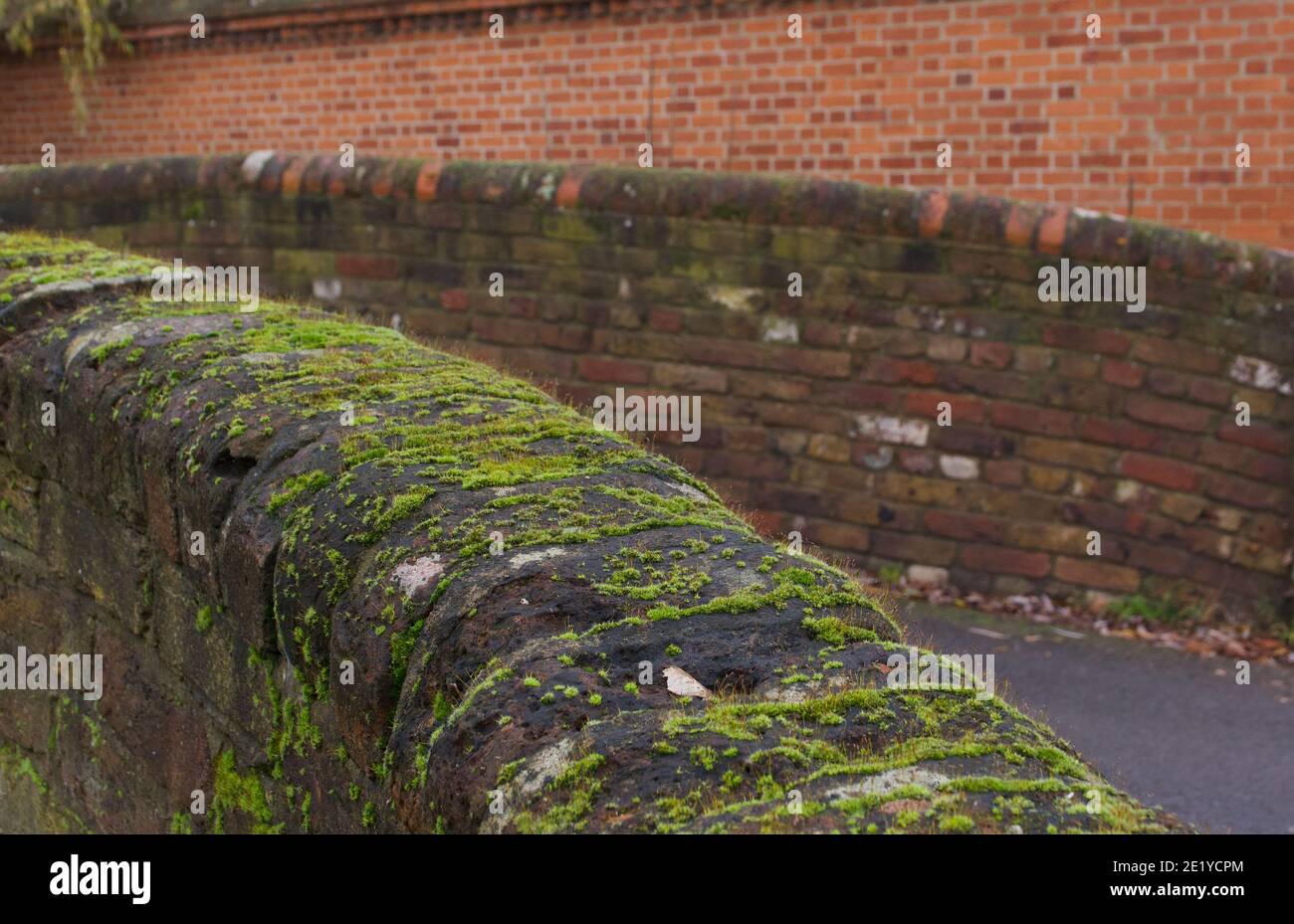 Brick covered in moss hi-res stock photography and images - Alamy