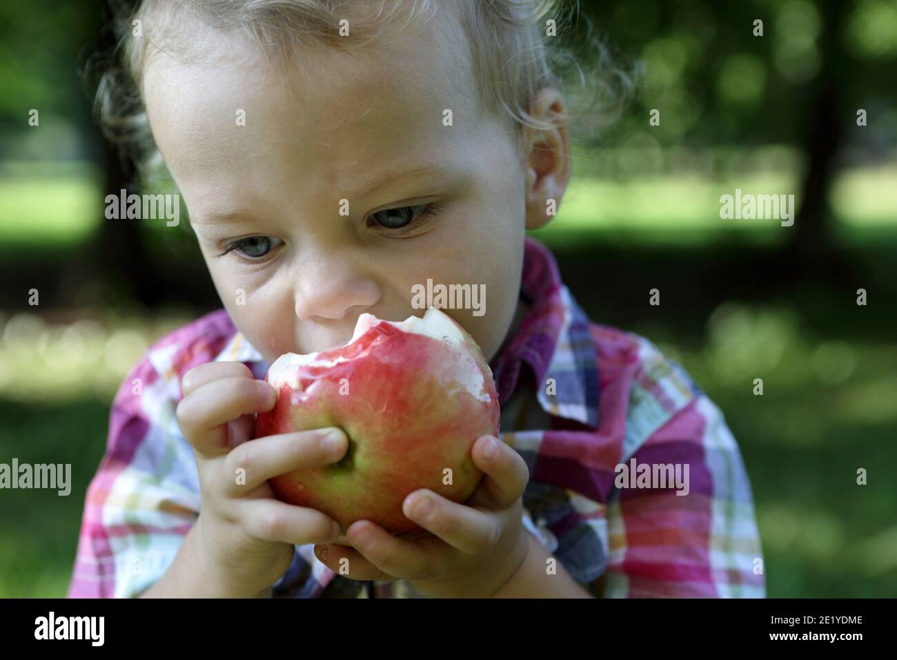Child eating apple biting hi-res stock photography and images - Alamy