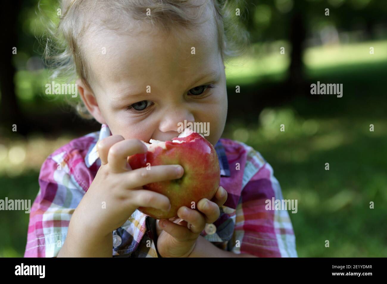 Child tasting apple hi-res stock photography and images - Alamy
