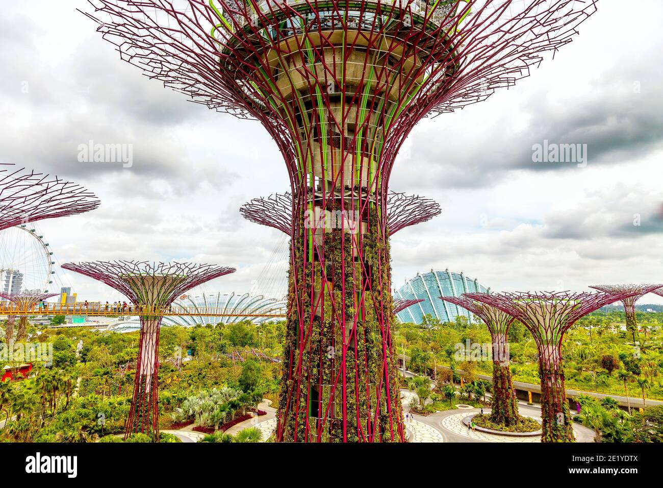 Gardens and supertrees hi-res stock photography and images - Alamy