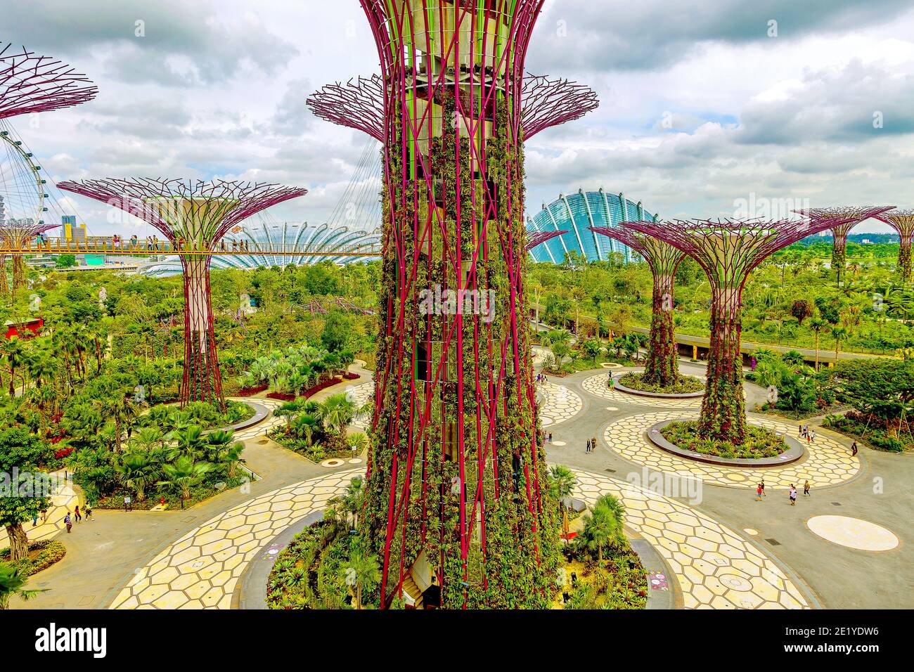 Gardens and supertrees hi-res stock photography and images - Alamy