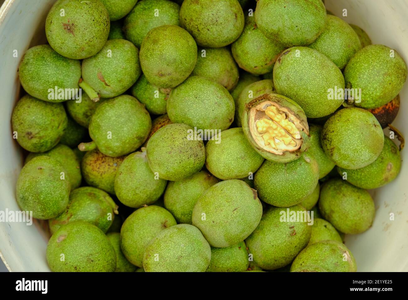Fresh walnuts with green peel. Freshly harvest, raw, delicious and ...