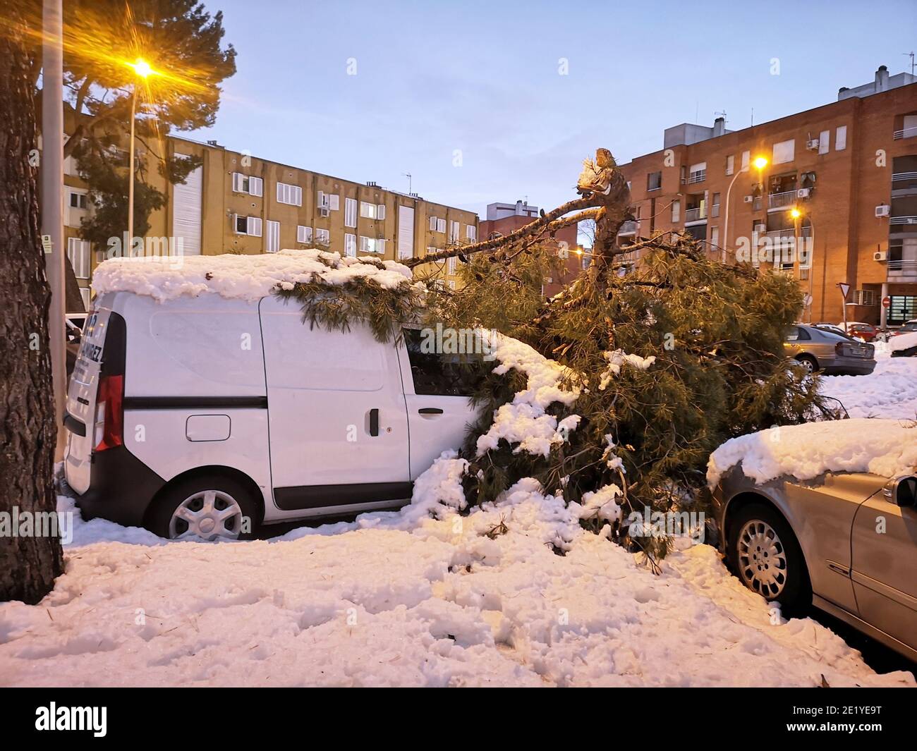 Car trapped under fallen branch or tree after Filomena snowstorm in ...