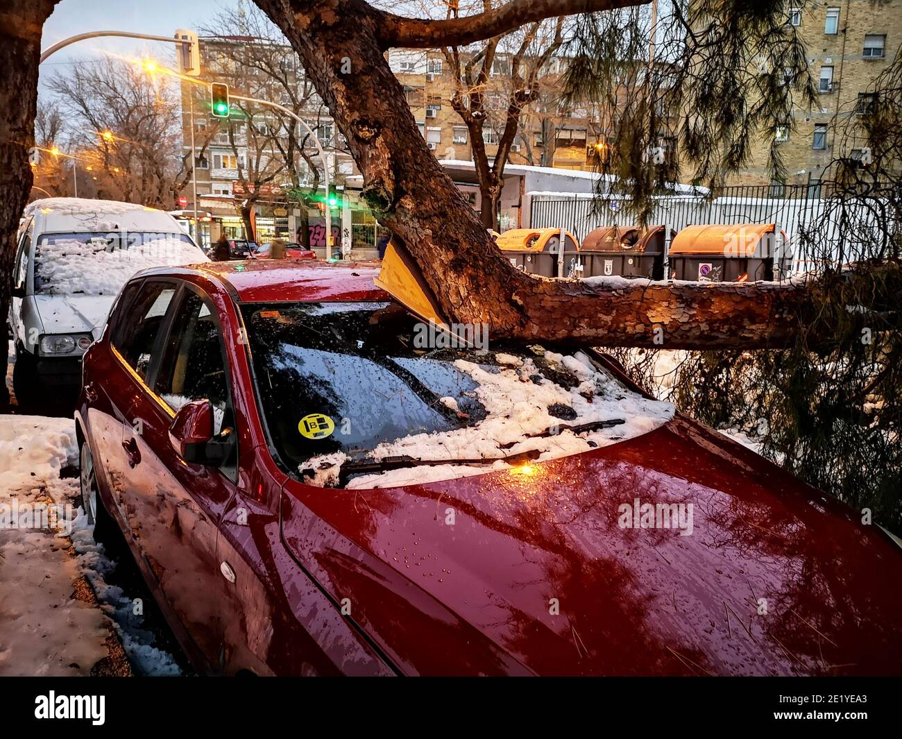 Vehicle tree fallen hi-res stock photography and images - Alamy