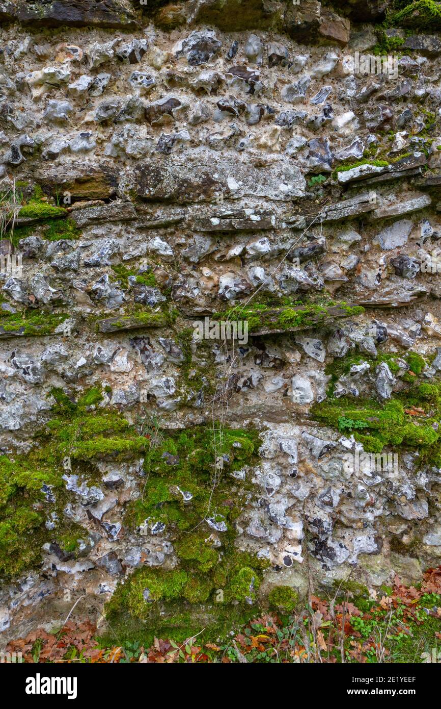 Detail of a section of the walls to the Roman city of Silchester ...