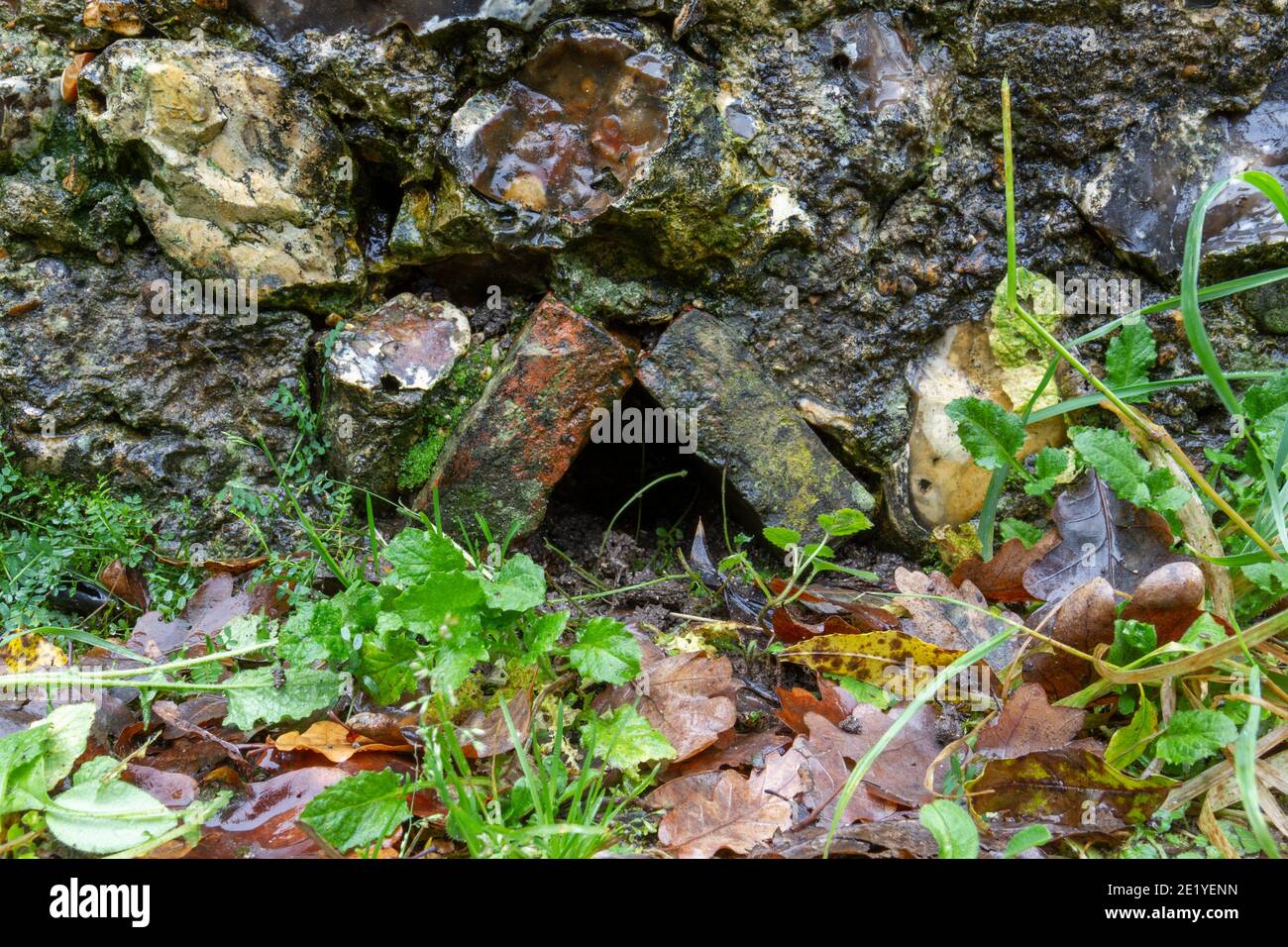 Detail showing a possible drainage outlet/opening at the base of the ...
