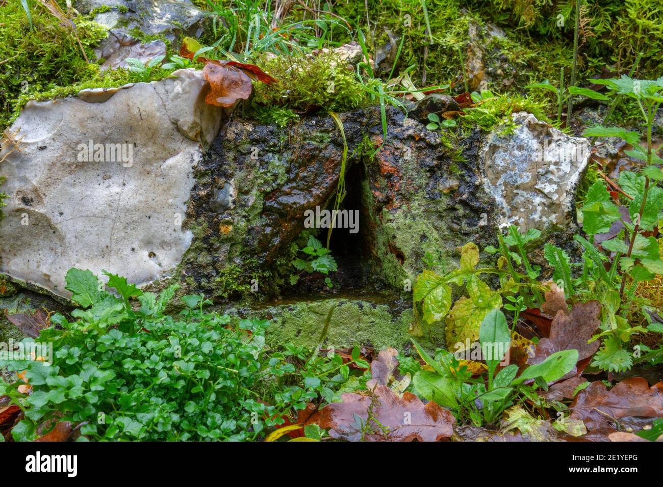 Roman arena amphitheatre hi-res stock photography and images - Alamy