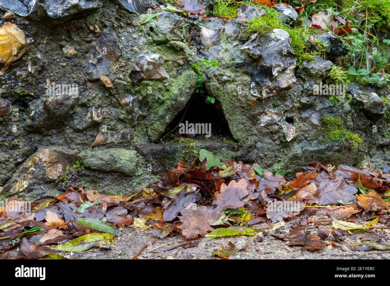 Detail showing a possible drainage outlet/opening at the base of the ...