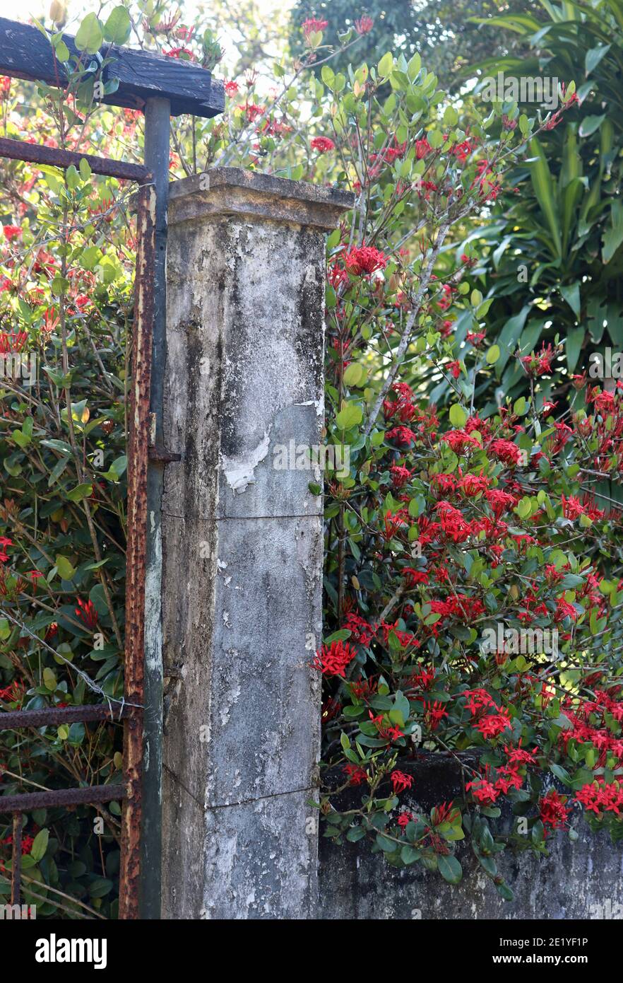 Rustic gate hi-res stock photography and images - Alamy