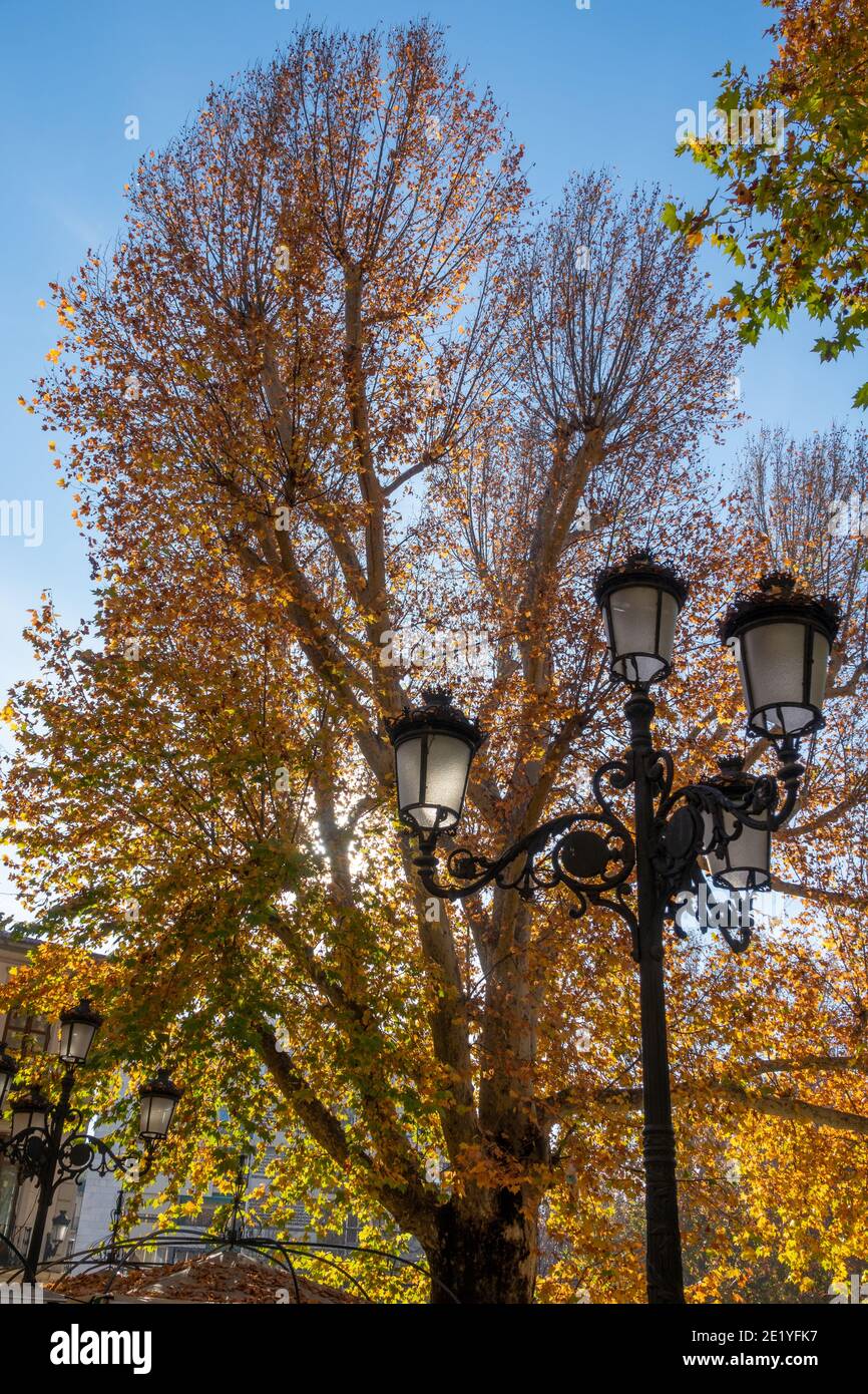 Detail of park lamp with a large tree in autumn colors in the ...