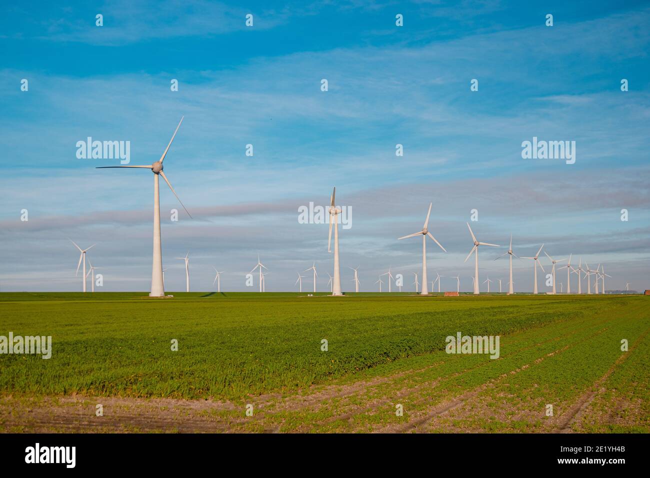 Windmills for electric power production Netherlands Flevoland, Wind ...