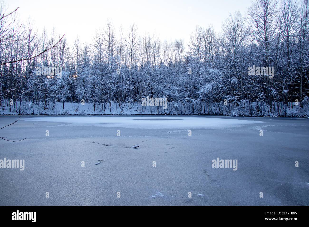 frozen pond in the forest covered in snow Stock Photo - Alamy