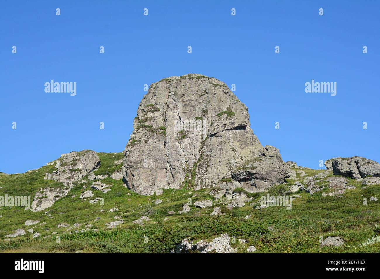 Zub hi-res stock photography and images - Alamy