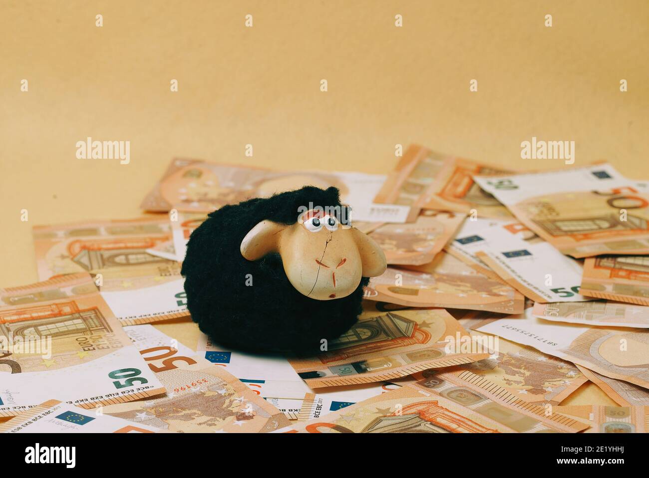 black sheep on money with yellow background Stock Photo - Alamy