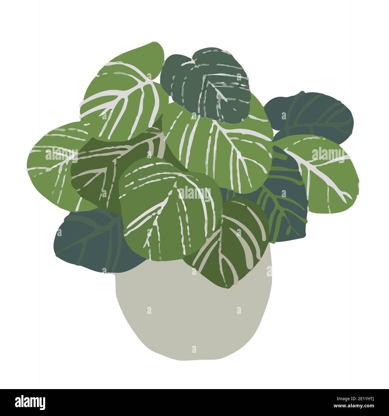 Hand drawn boho house plants. Scandinavian style illustration, modern ...