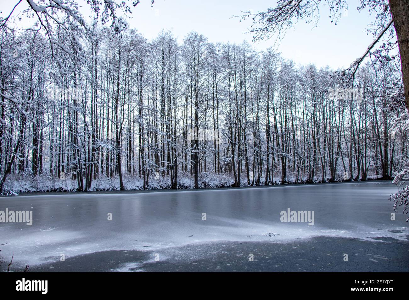 frozen pond in the forest covered in snow Stock Photo - Alamy