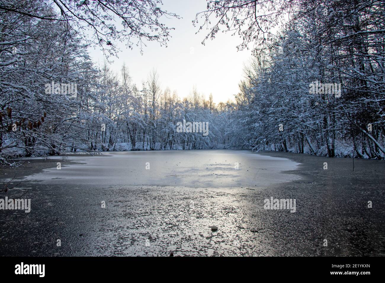 Forest frost pond germany hi-res stock photography and images - Alamy