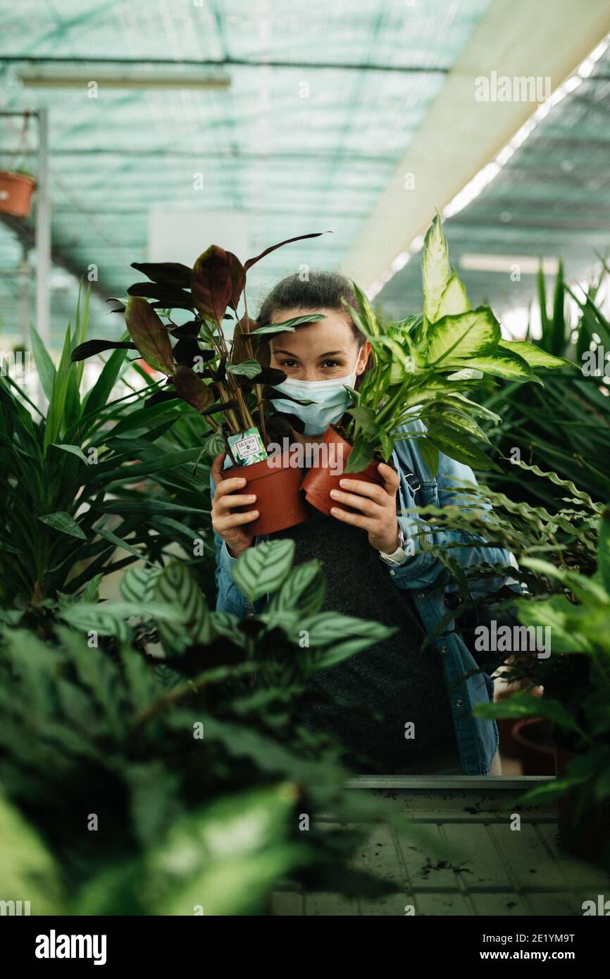 Plantas verdadeiras hi-res stock photography and images - Alamy