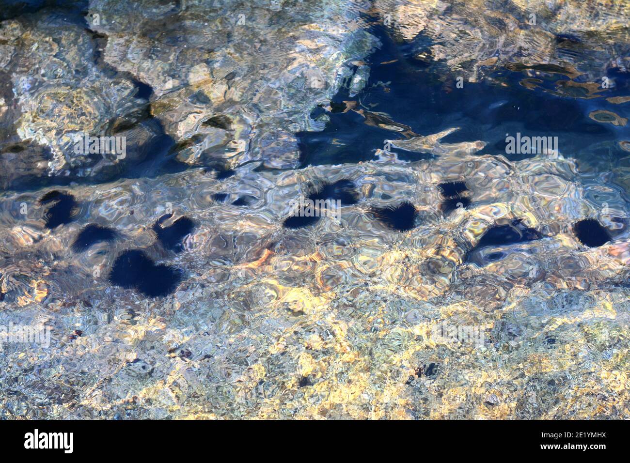 Texture of water. Shiny wave of clear sea water over sand beach, for ...
