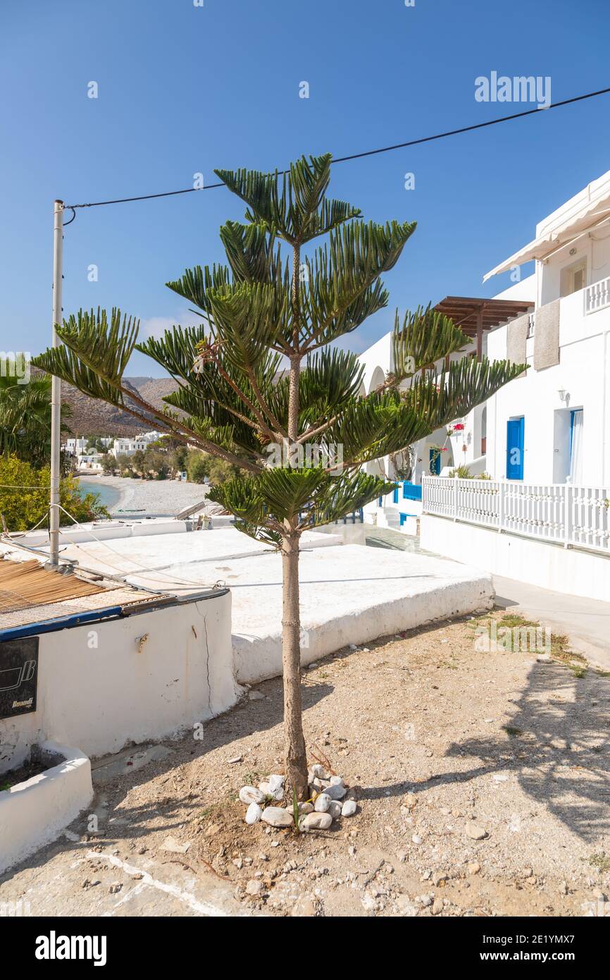 Folegandros Island, Greece - 24 September 2020: Characteristic Greek ...