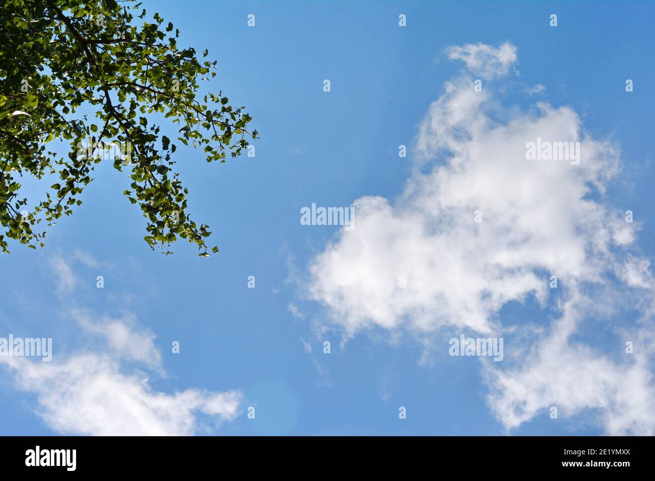Sunny reflection background, blue sky with white clouds and sun. Blue ...