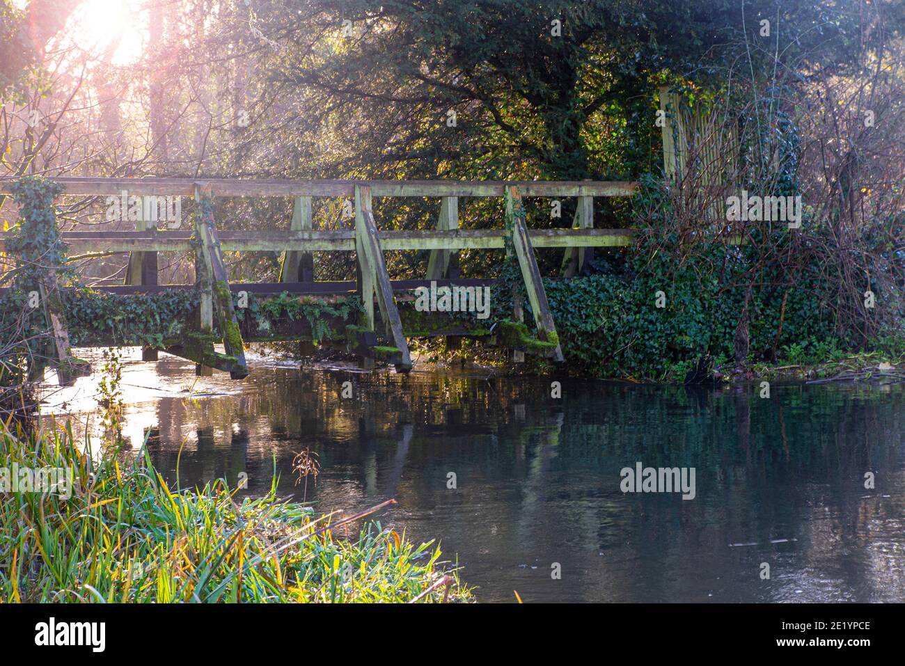 Shawford hi-res stock photography and images - Alamy