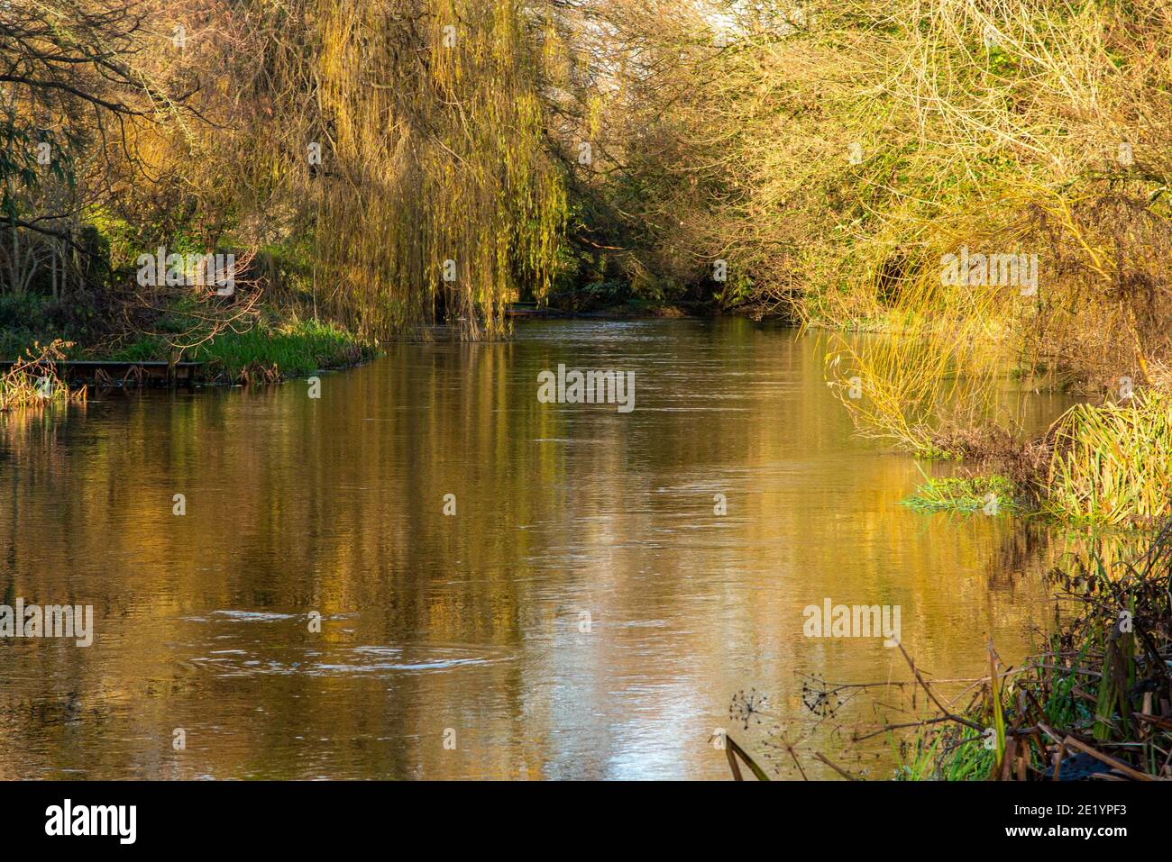 Shawford hi-res stock photography and images - Alamy