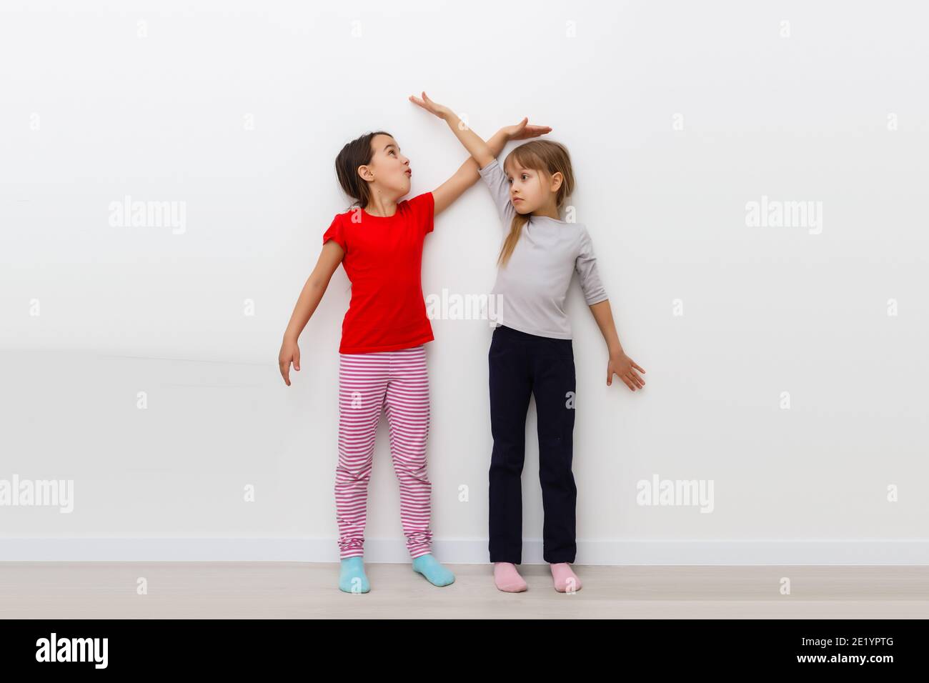 Ruler to show scale hi-res stock photography and images - Alamy