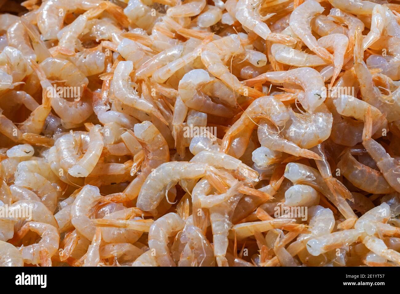 Prawn fishes hi-res stock photography and images - Alamy