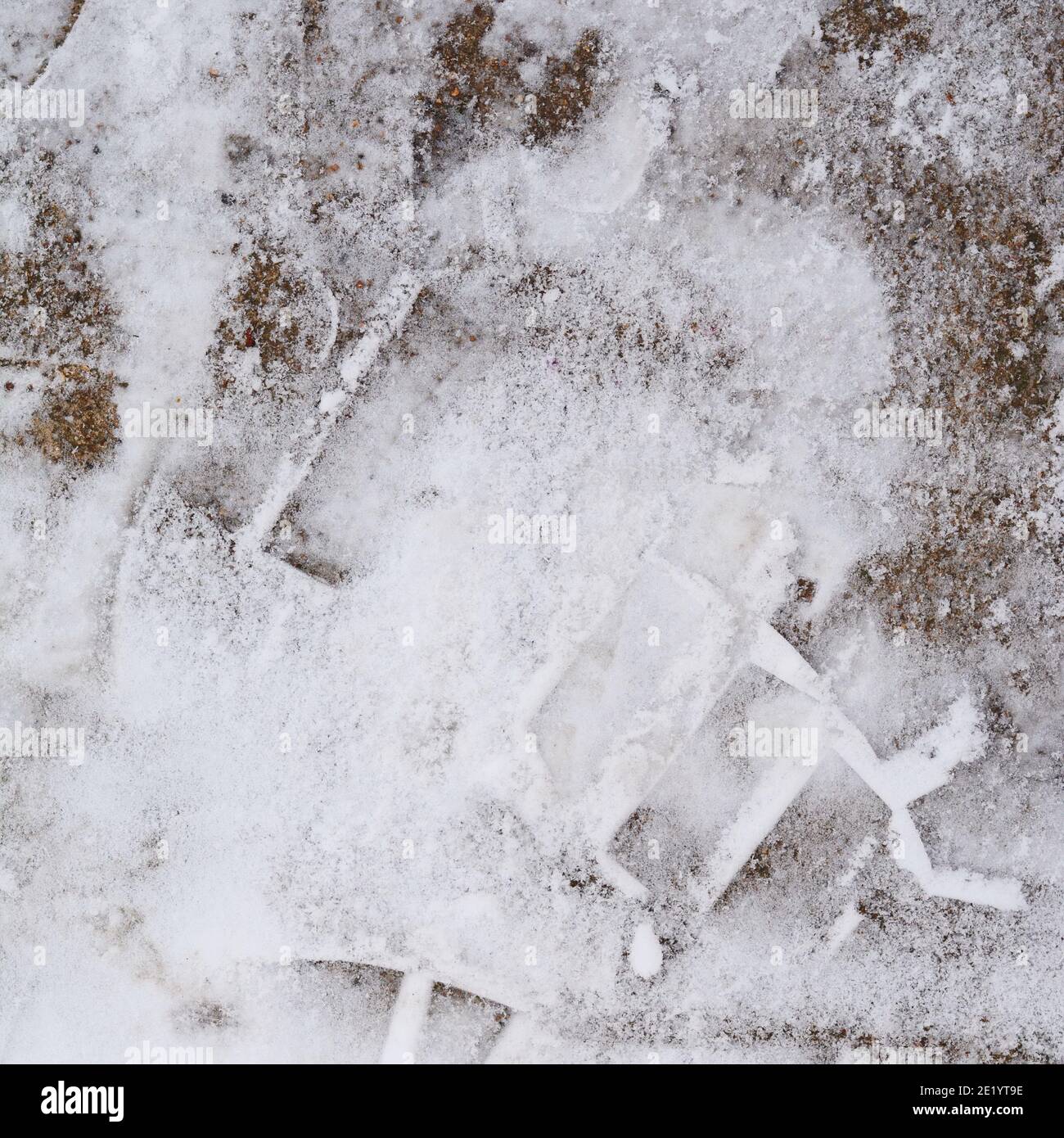 Overhead view of human footprints on white winter snow background Stock ...