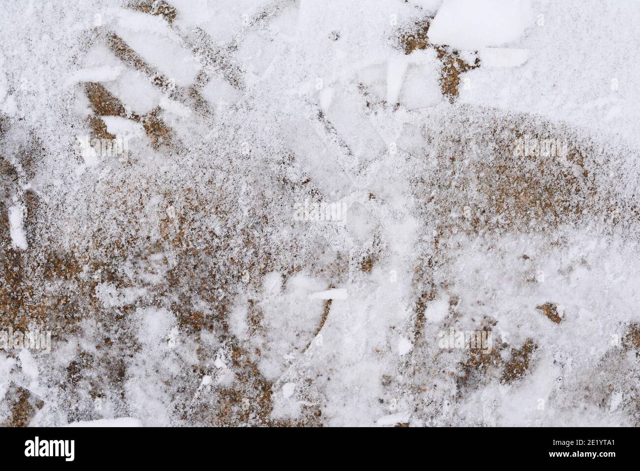 Overhead view of human footprints on white winter snow background Stock ...