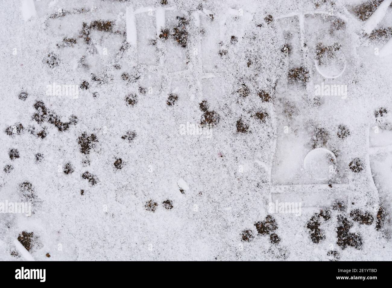 Overhead view of human footprints on white winter snow background Stock ...