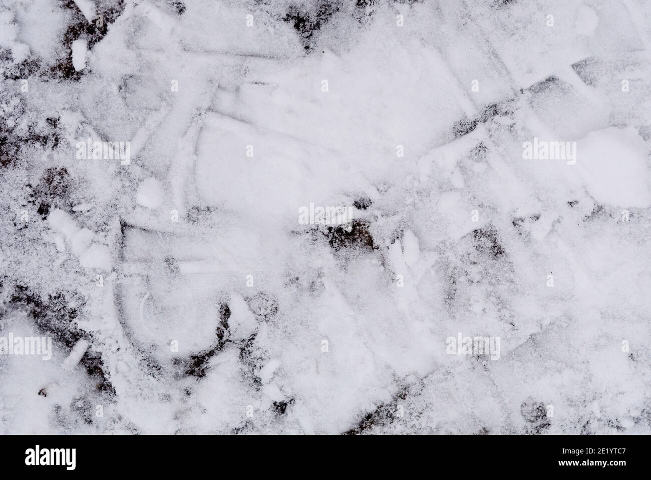 Overhead view of human footprints on white winter snow background Stock ...