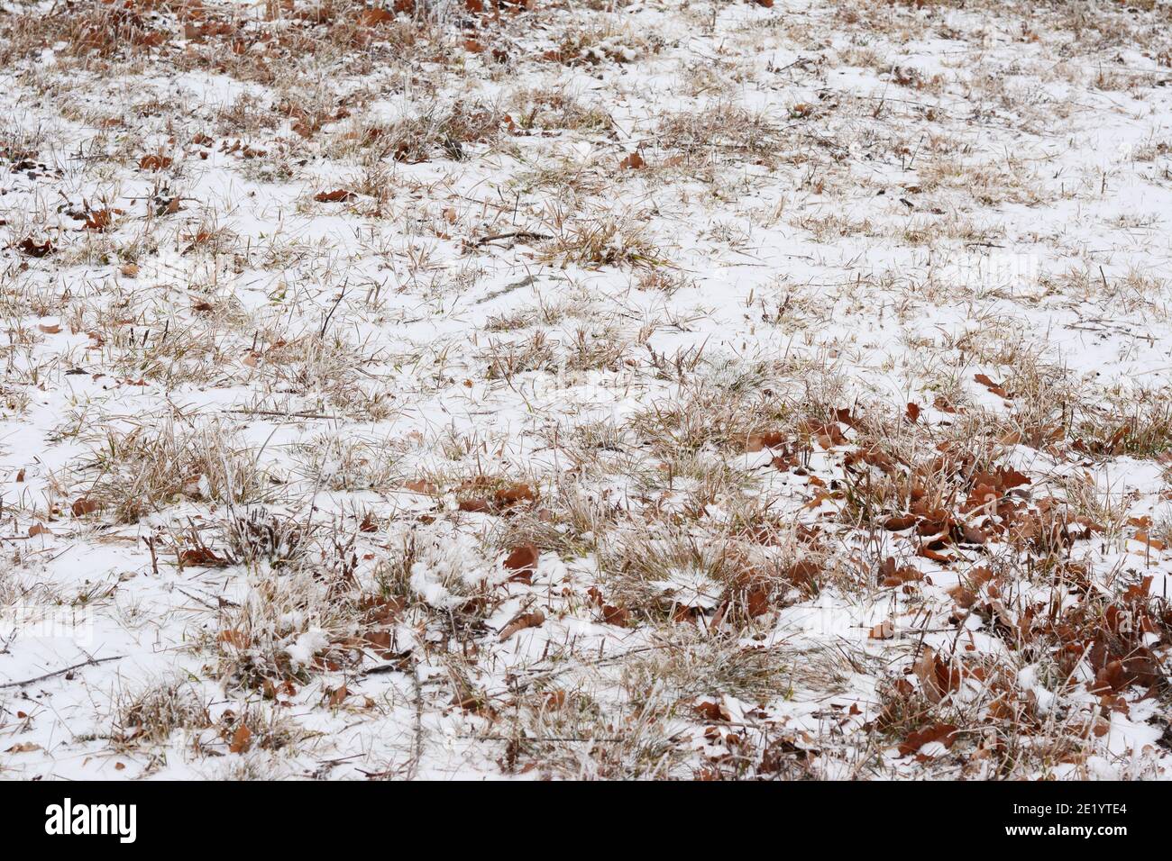 Natural background - first snow cover ground Stock Photo - Alamy