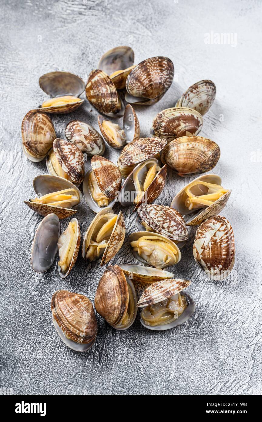 Fresh Steamed Clams on the kitchen table. White background. Top view ...