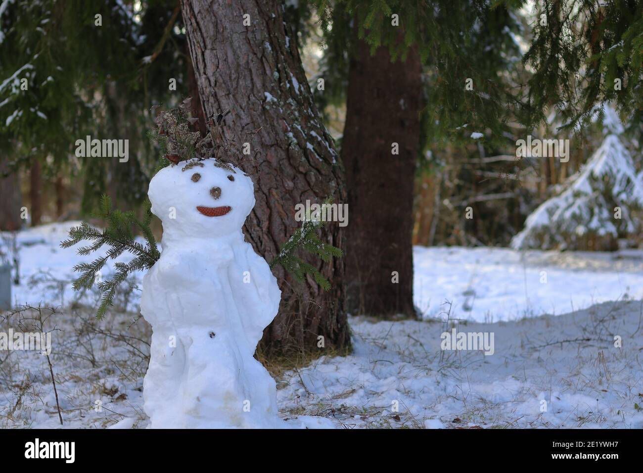 snowman as a welcome in front of trees Stock Photo - Alamy