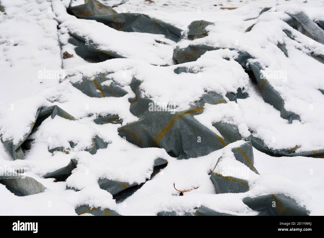 Natural background - first snow cover ground Stock Photo - Alamy