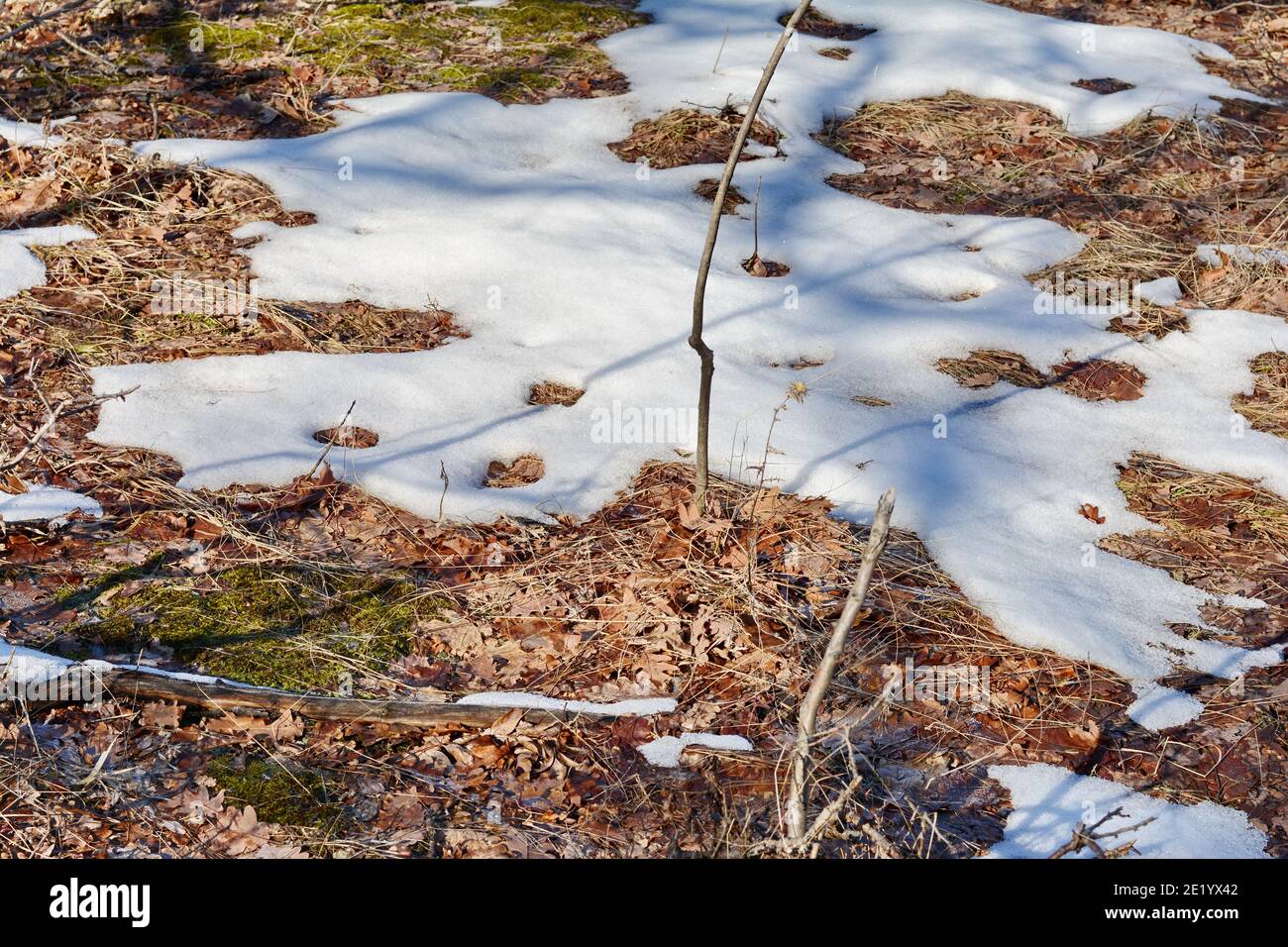 snow photographed in the winter season, which appeared after a snowfall ...