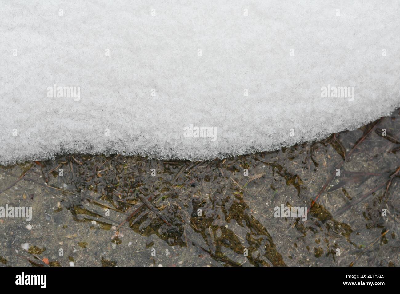 Natural background - first snow cover ground Stock Photo - Alamy