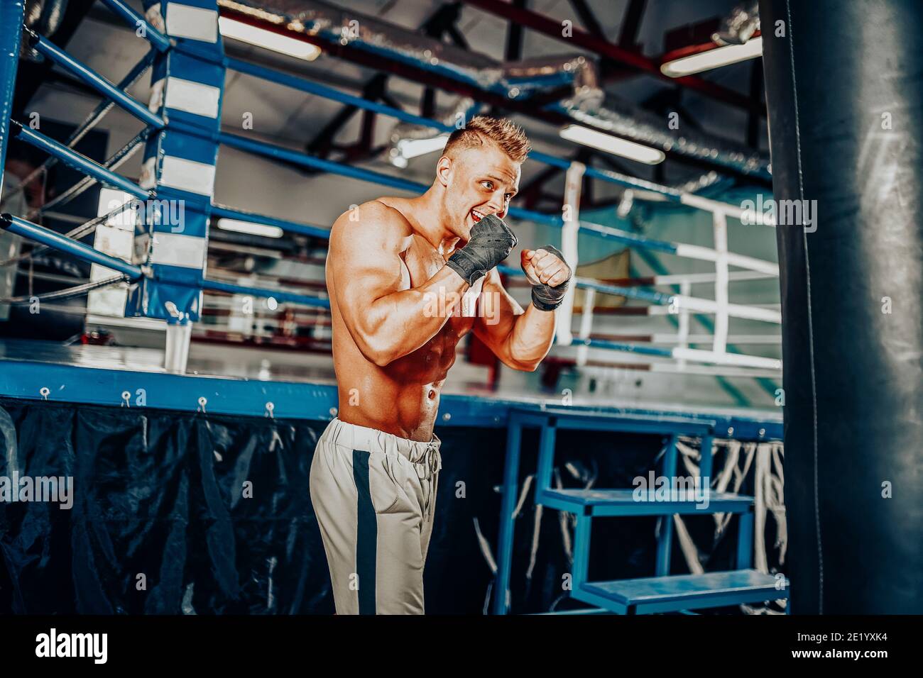 Boxer training on a punching bag in the gym Stock Photo - Alamy