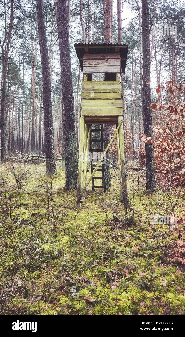 Wooden deer hunting tower in woods, color toning applied Stock Photo ...