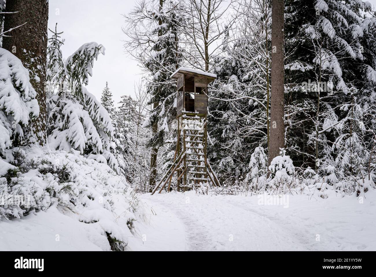Scenic winter landscape in the Black Forest Mountains after heavy ...