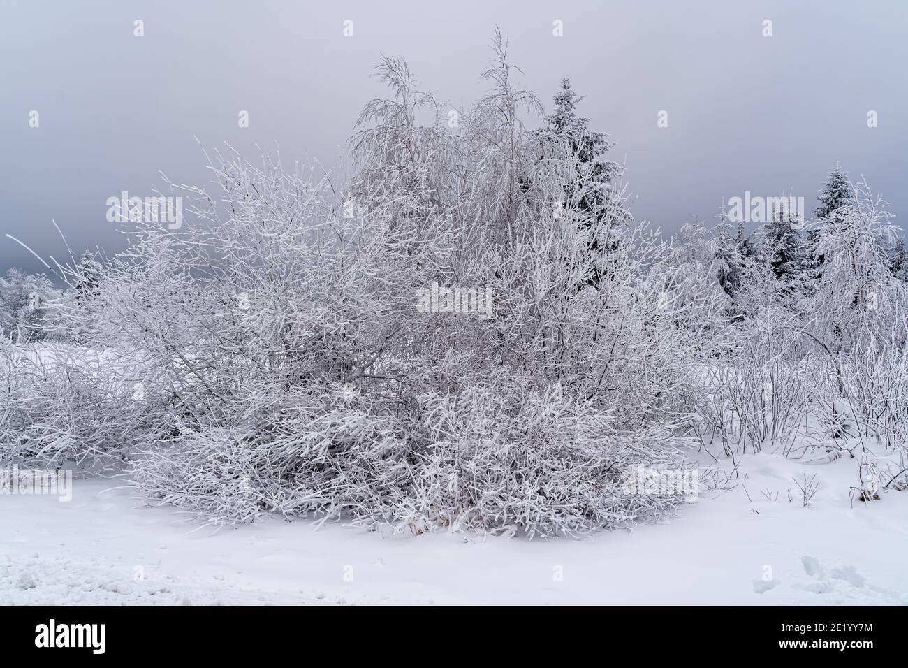 Scenic winter landscape in the Black Forest Mountains after heavy ...