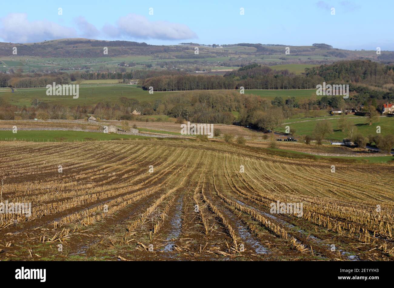 Harvested corn field in the Peak District National Park Stock Photo - Alamy