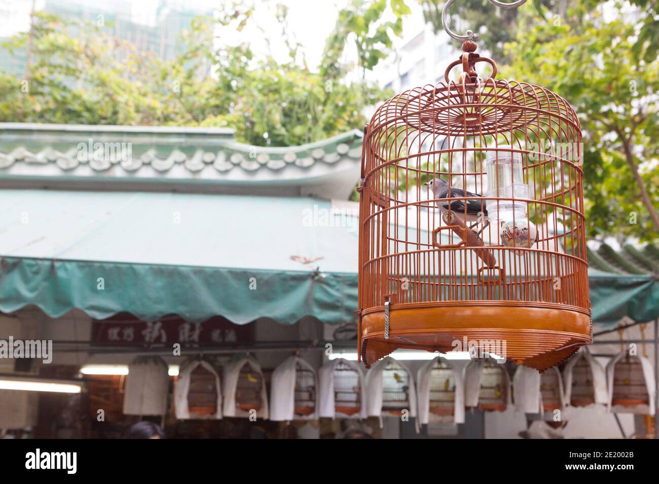 Yuen Po Street Bird Garden Stock Photo - Alamy