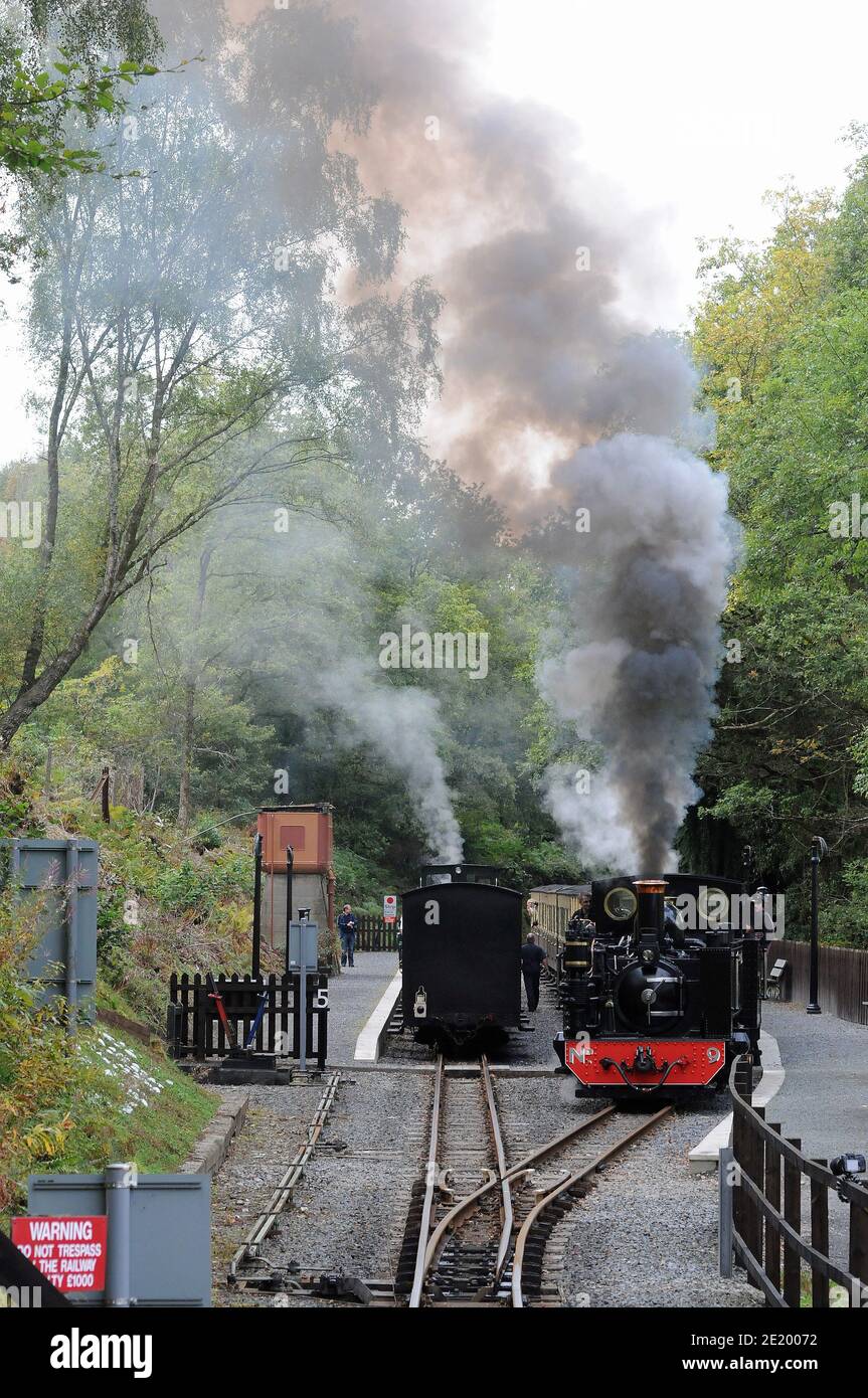 "Prince of Wales" and No. "8" leaving Aberffrwd with a train for Devil ...