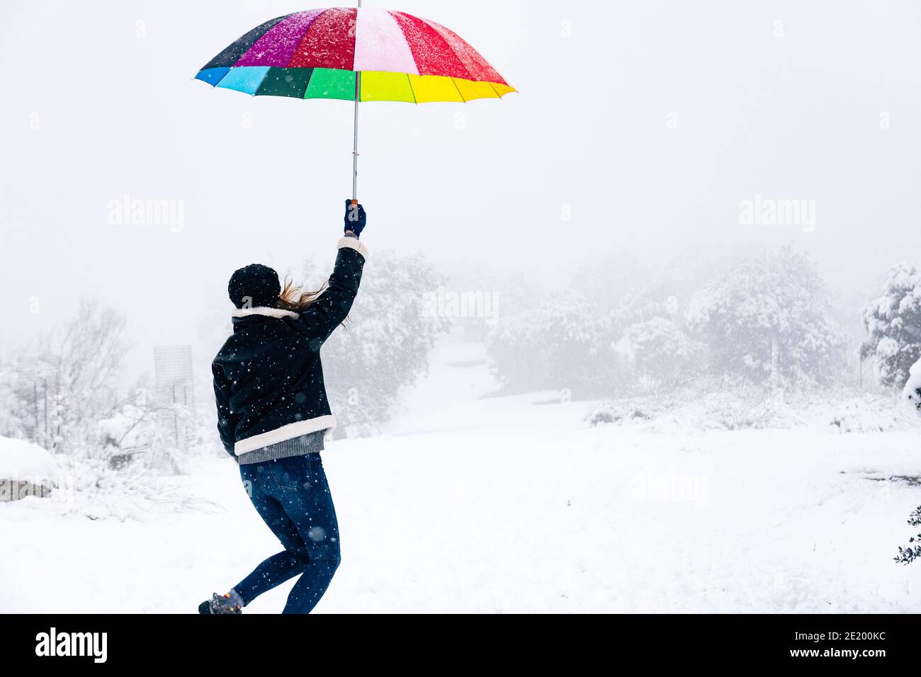 Blown Away By Strong Wind High Resolution Stock Photography and Images ...