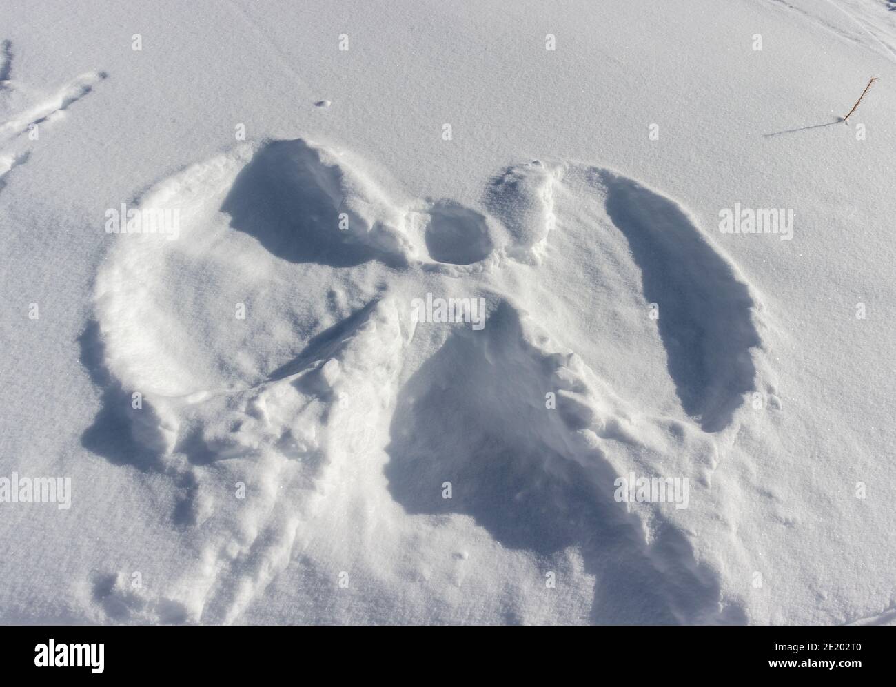 Snow angel made by lying in snow and moving arms and legs Stock Photo ...