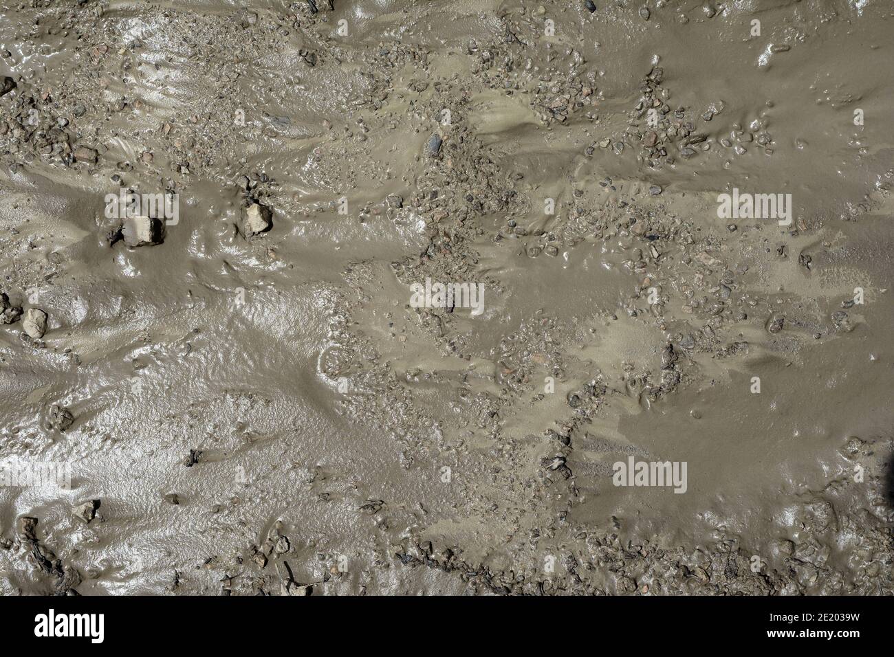 Mud texture or wet gray soil as natural background Stock Photo - Alamy