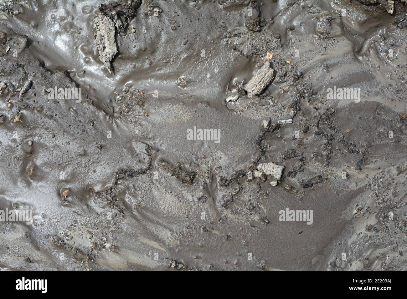 Mud texture or wet gray soil as natural background Stock Photo - Alamy